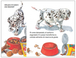¿Qué comen los animales? Los animales y la comida - Culturamas